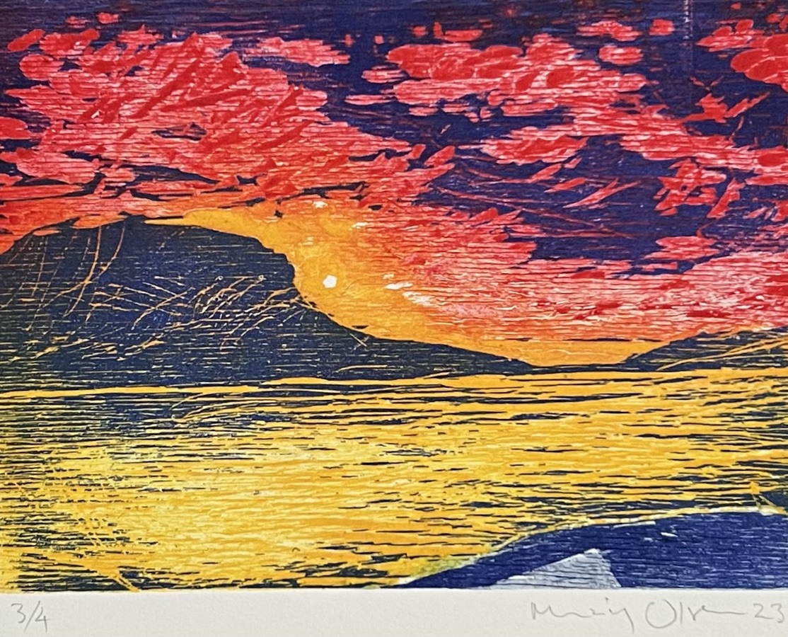 Galleri Sam - Marius Olsen